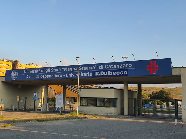 Pronto Soccorso di Catanzaro al collasso? Il commissario Carbone ...