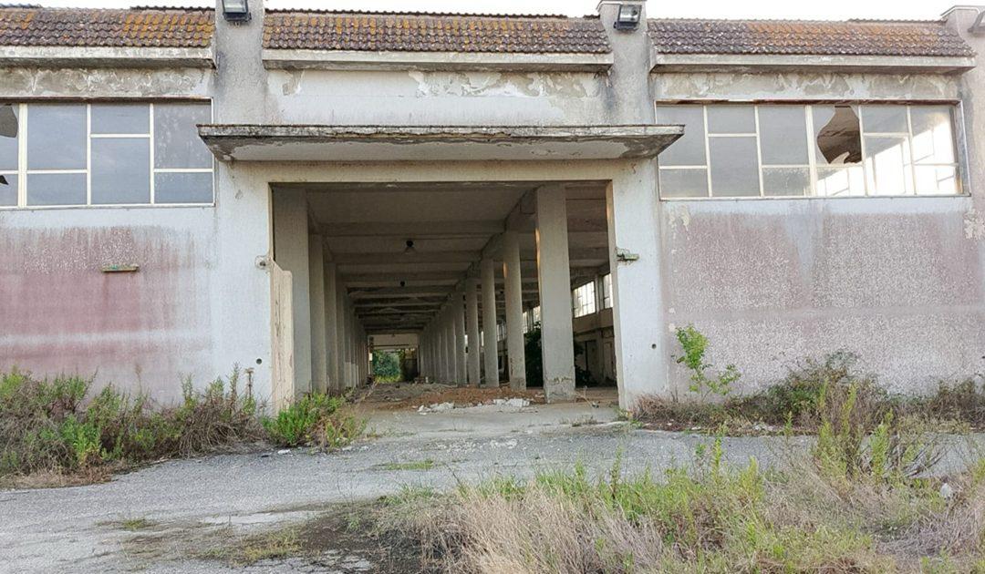 Ex Mercati Generali di Vibo, dal 1987 al bando 2025: la storia di una ...