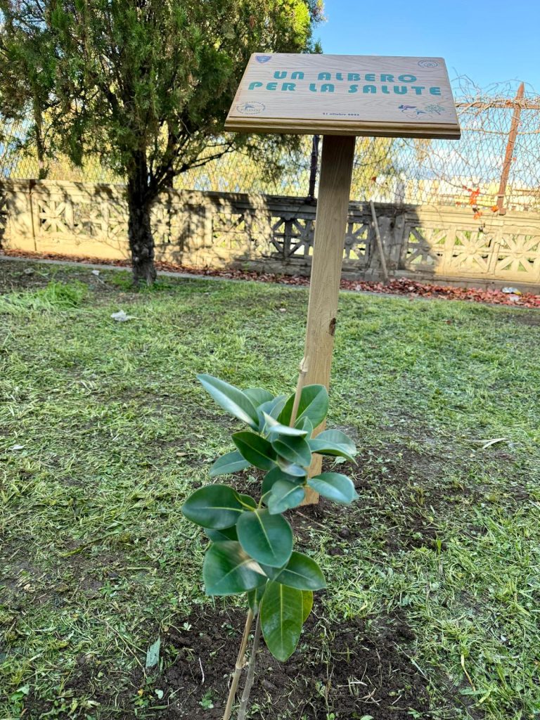 Il G.O.M. di Reggio Calabria pianta l’Albero di Falcone: salute e ...
