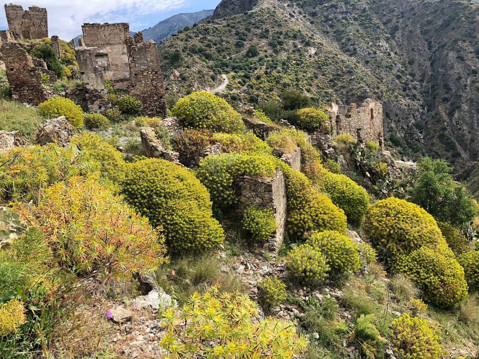 Ambiente e biodiversità, finanziati 10 progetti della Regione Calabria ...
