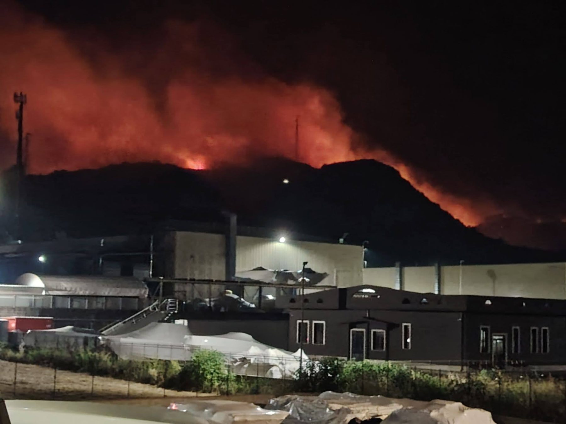 Maxi rogo nella notte alle porte di Catanzaro: il vento spinge le ...
