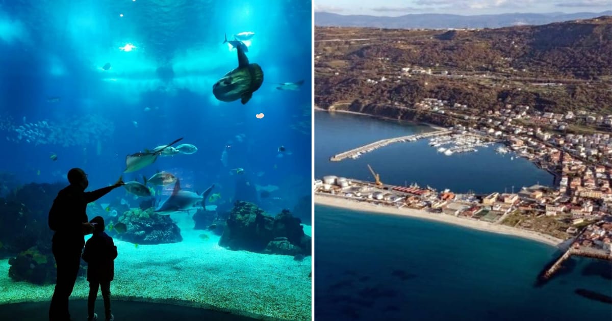 Vibo Marina, l’acquario nel deserto: 8 milioni per sognare i pesci dove ...